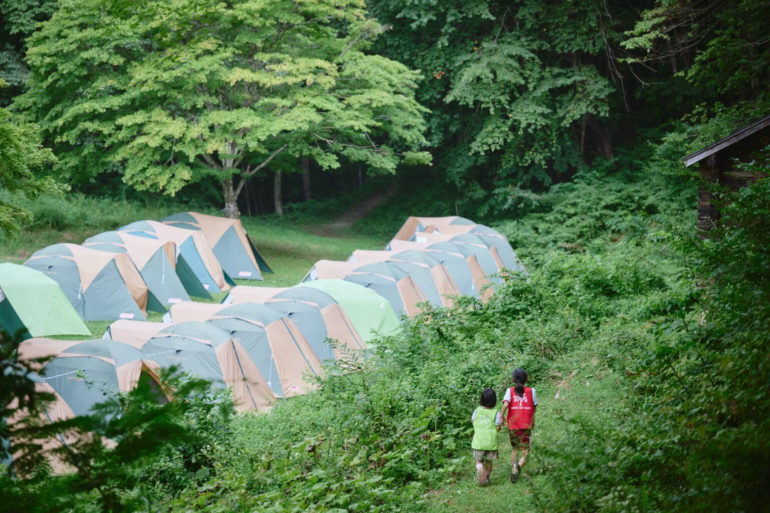 Why do you support Mirai no Mori? vol.7 with Daisuke Itami - Mirai no Mori